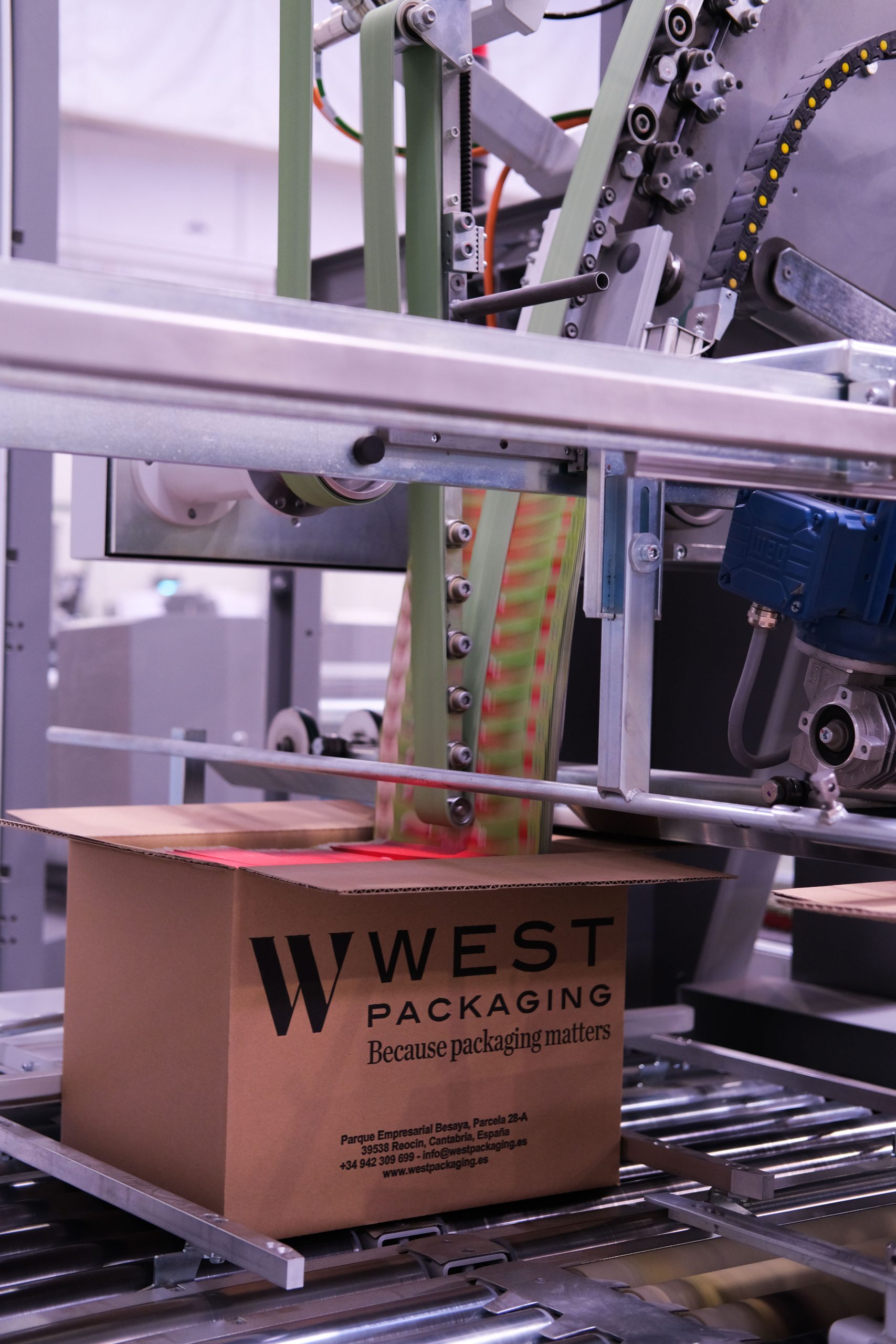 Nuestros productos - Westpackaging